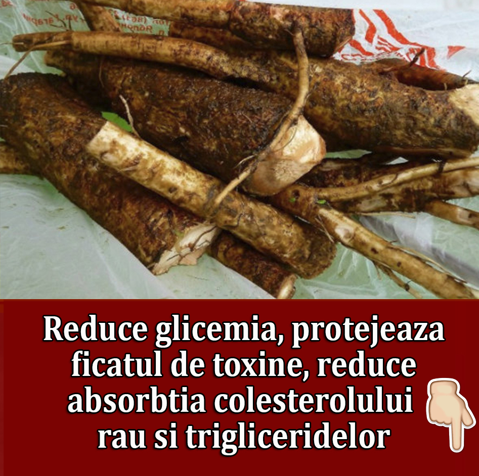 Nu se spune nimic despre ea, dar reduce glicemia, protejeaza ficatul de ...