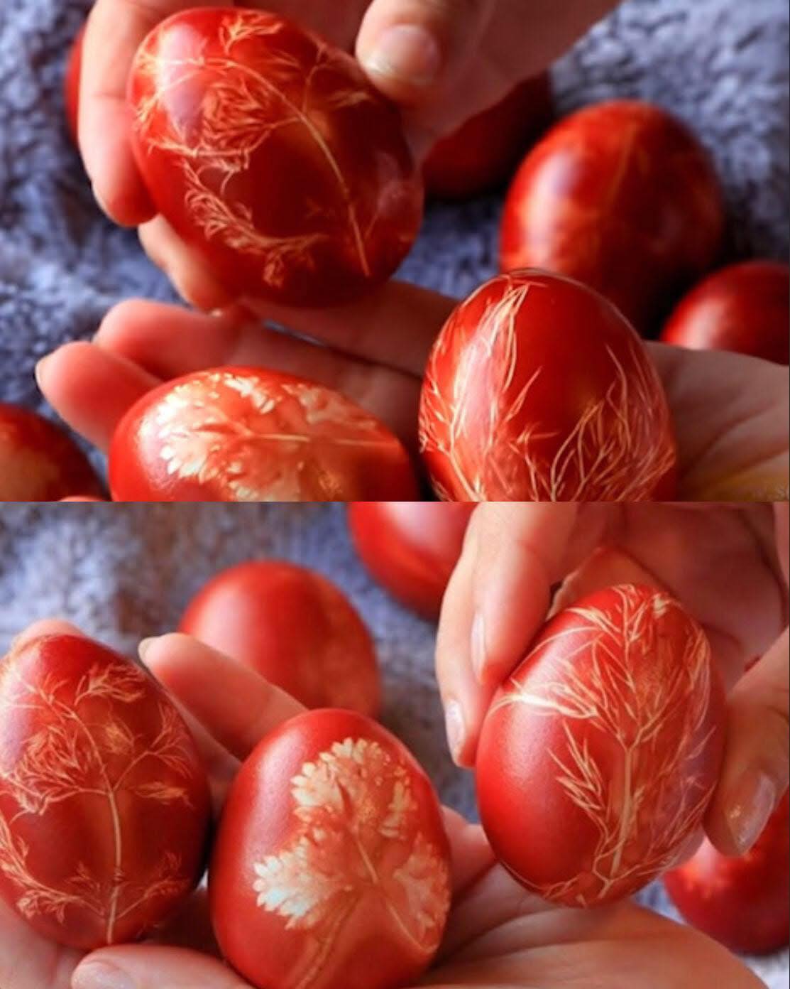 🥚 Vopsirea Ouălor de Paște cu Coji de Ceapă – Natural, Simplu și Plin ...