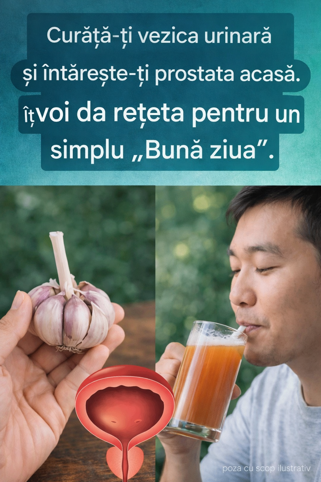 Urzica și sănătatea prostatei – Calatorinromania